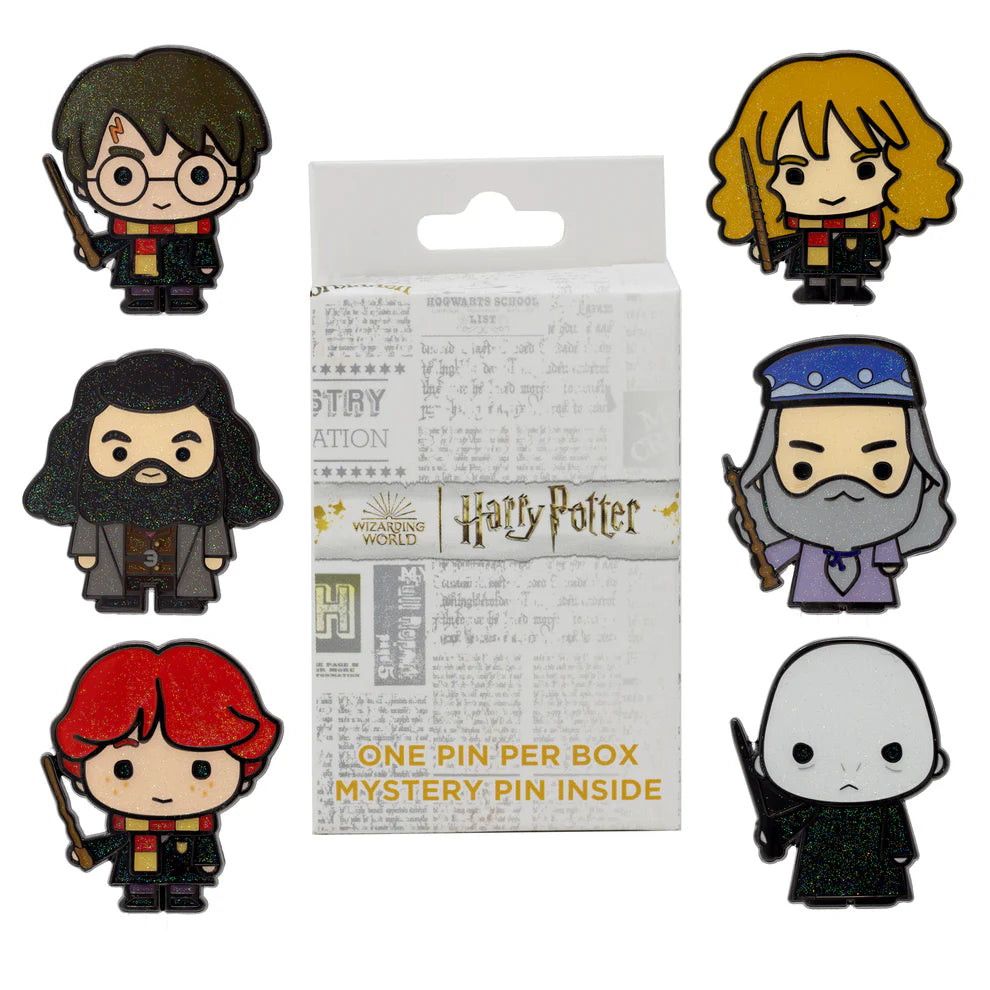 Harry Potter Buckle-Down Blind Box Mystery Pin – TK Ave